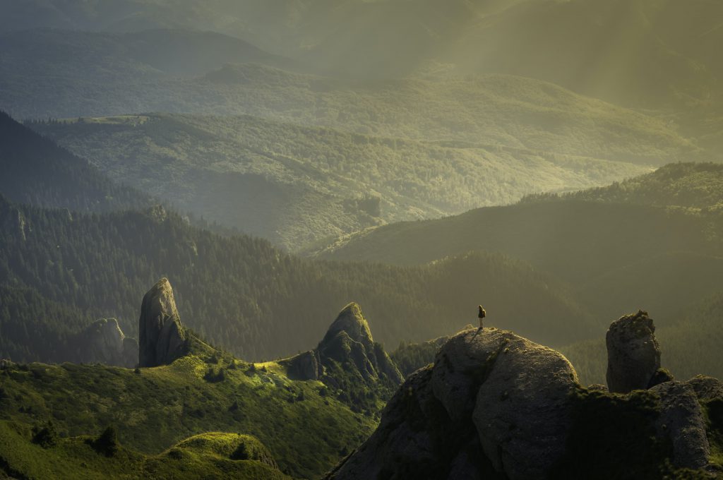 Contact | The Summit Wellness Group